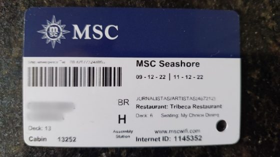 MSC Seashore: dicas úteis para quem está a bordo - Krooze
